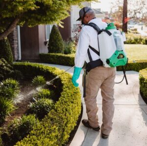 Valley Integrated Pest Control - Effective Pest Control in Fresno CA